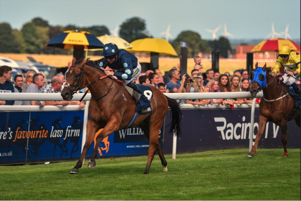 Events at Beverley Racecourse | Beverley Racecourse