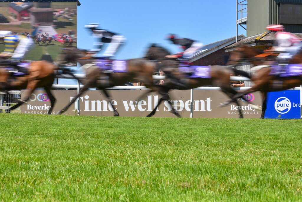 Beverley Racecourse | Horse Racing Events | Family Racedays