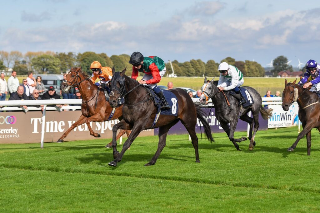 Beverley Racecourse | Horse Racing Events | Family Racedays