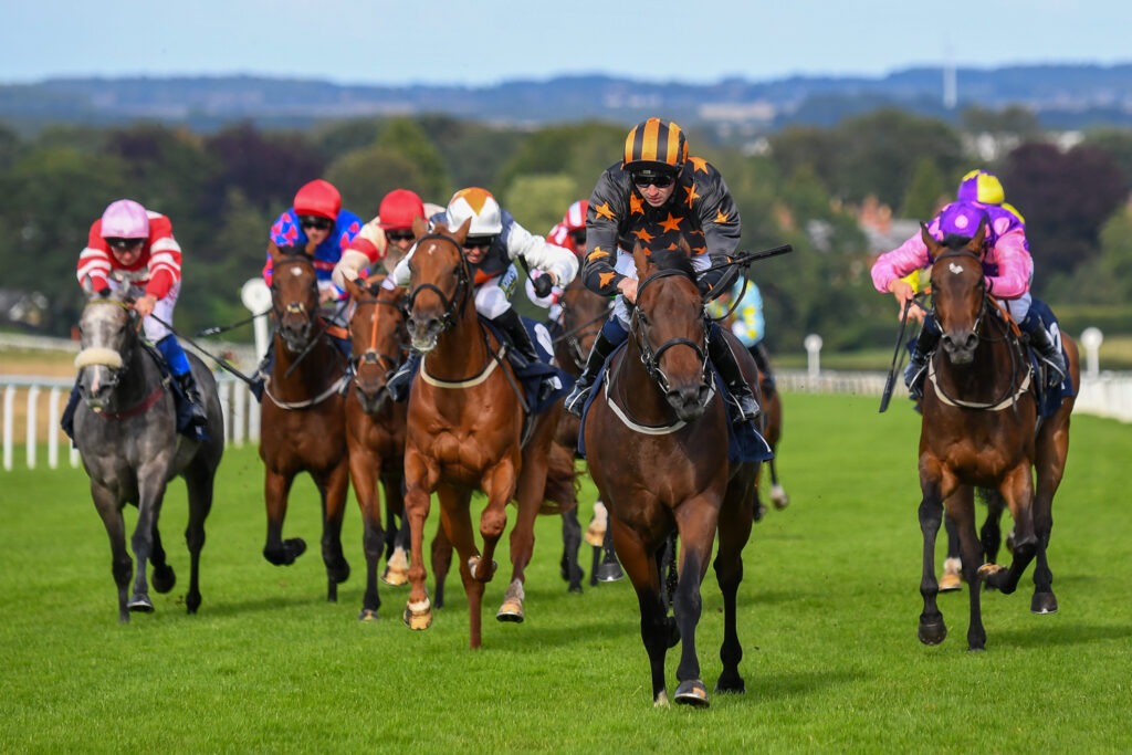 Beverley Racecourse | Horse Racing Events | Family Racedays